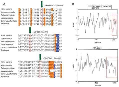Screening The Pathogenic Causes Of Congenital Cataract Via Whole Exome