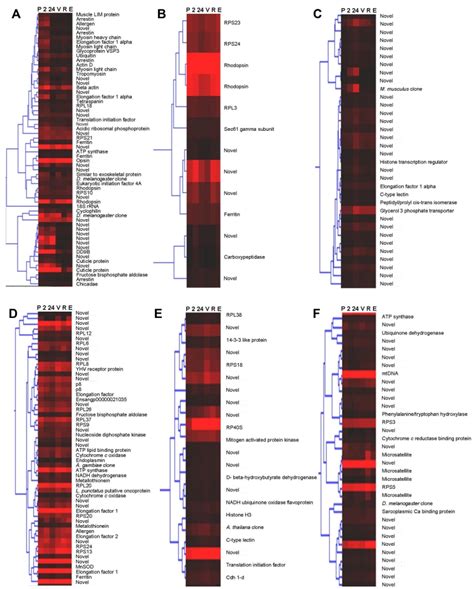 dendrograms hierarchical clustering of microarray gene expression