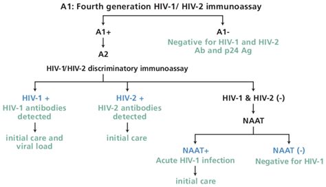 Hiv Testing Algorithm From The 2010 Centers For Disease Control And