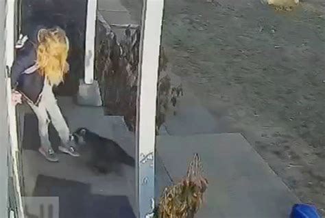 Watch Mom Saves Daughter Being Attacked By Raccoon East Idaho News