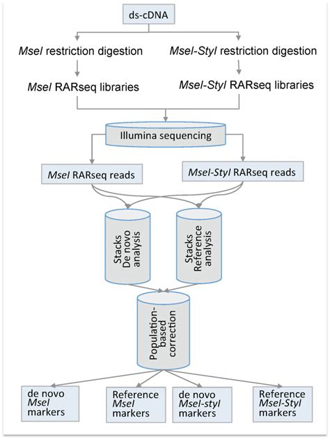 rarseq an rnaseq based genotype by sequencing gbs method rna seq blog