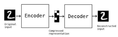 autencoder schema