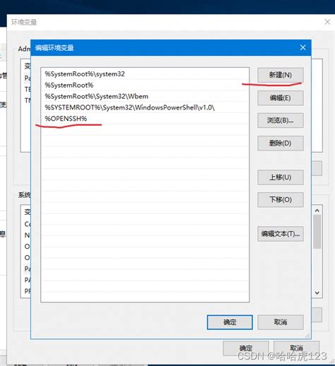 windows server 2016 安装openssh server，并设置密钥 get windowscapability 无法下载