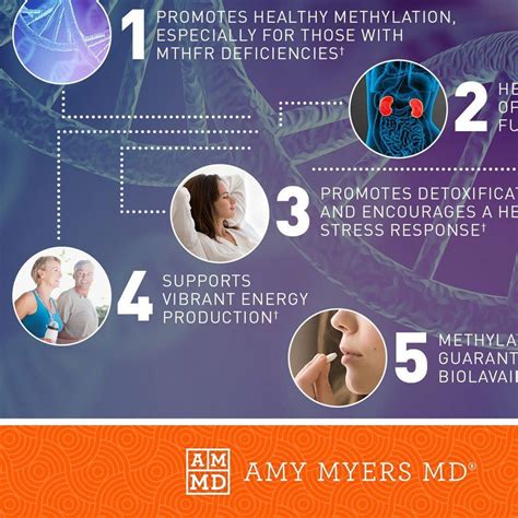 Amy Myers Md Methylation Support® Vitamins And Supplements Beauty