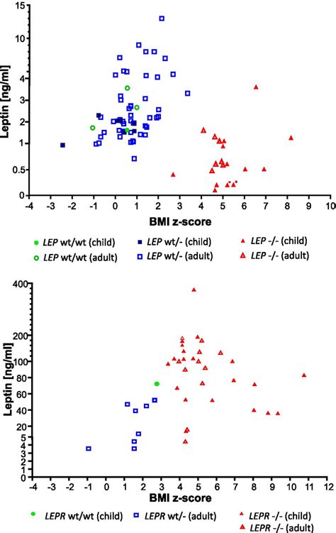 Leptin Levels [ng Ml] In Relation To Bmi Z Score In Lep A And Lepr
