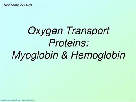 Ppt Oxygen Transport Proteins Myoglobin And Hemoglobin Powerpoint