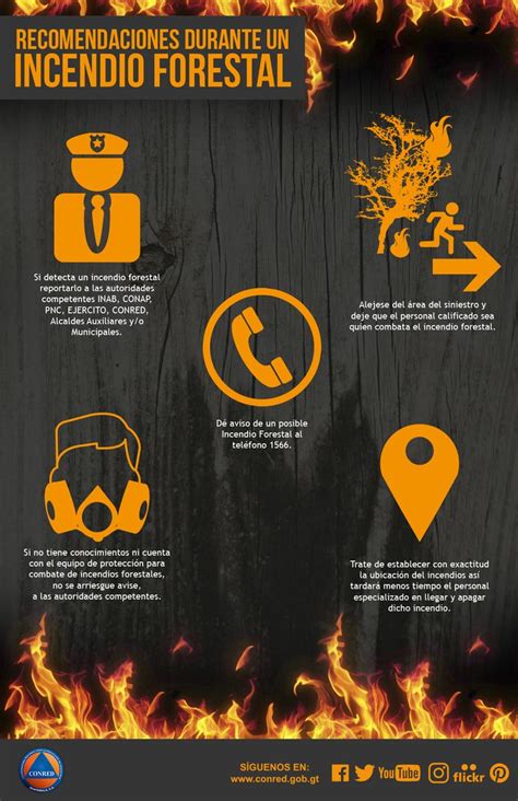 Recomendaciones Durante Un Incendio Forestal General Imagenes De