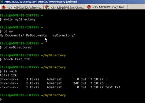 how to extract programs in linux bash shell in windows systran box