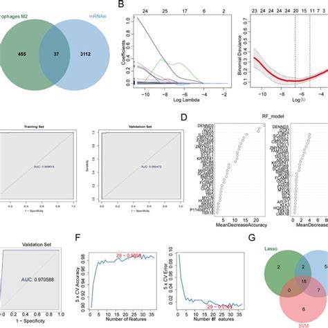 Identification Of Key Genes A Venn Diagram For 30 Genes Common To M2