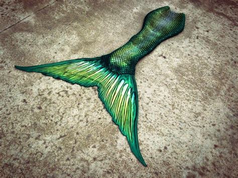 Mertailor Realistic Mermaid Tails Merman Tails Mermaid Tails