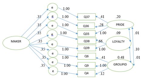 Figure D1 The Common Latent Factor Analysis Notes Q4 Denotes