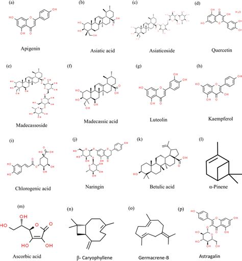 Chemical Structures Of Major Phytochemicals Present In Centella