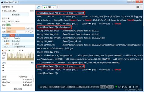 linux安装tomcat最新版 tomcat10 luixn版本 csdn博客
