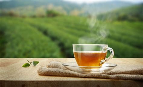 Jenis Jenis Teh Herbal Yang Baik Untuk Kesehatan Tubuh Okezone Health