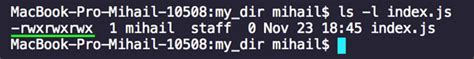 manage directory and file permissions with chmod recursive