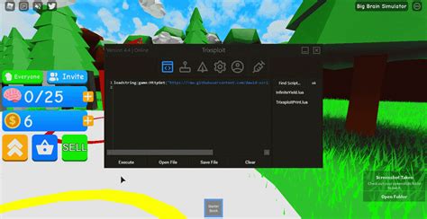 big brain simulator scripts