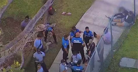 Arrestan A Tres Jóvenes Por Golpear A Un Policía Durante Una Pelea