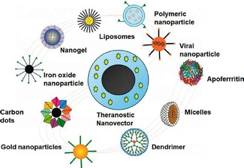 Schematic Illustration Of Nanocarriers Toward Theranostics Download