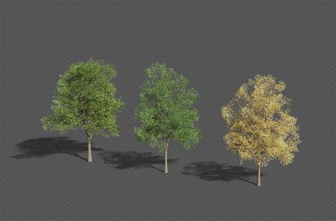 F7 Design Realistic Low Poly Trees