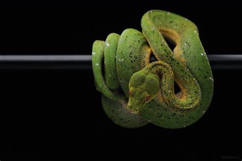 what to expect in python 3 8 agile actors learning