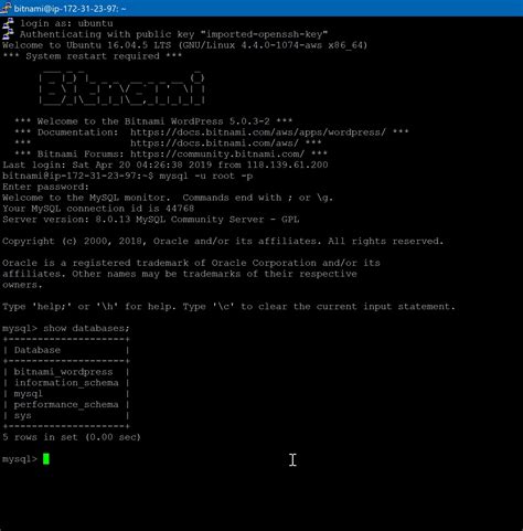 unable to connect r to mysql which is hosted in bitnami