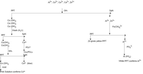 Complete The Flow Chart Below That Allows Separation