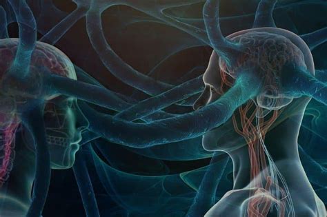Deep Brain Stimulation To Brain Area Linked To Reward And Motivation Is
