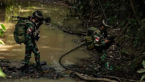 Keren Intip Latihan Perang Bareng Tni Ad And Us Army Foto 5