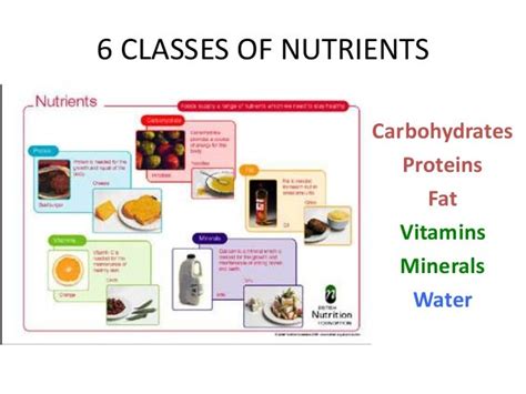 Nutrition Powerpoint