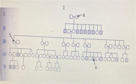 Solved For Each Of The Pedigrees Below Assign The Proper