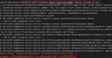 reddyinfosoft system io ioexception failed to bind to address