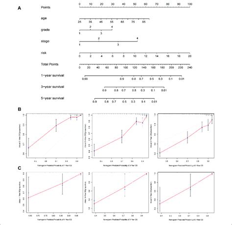 Construction And Validation Of Nomogram A Nomogram To Predict The