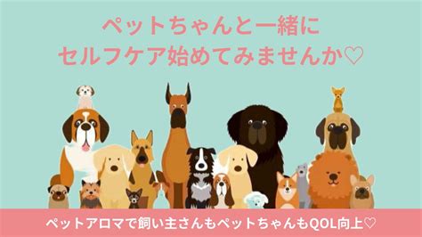 Link Service ペットちゃんと飼い主さんの初めてのセルフケア～ペットアロマで飼い主さんもペットちゃんもqol向上～