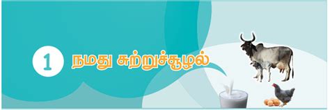 நமது சுற்றுச்சூழல் பருவம் 3 அலகு 1 5 ஆம் வகுப்பு அறிவியல் Our