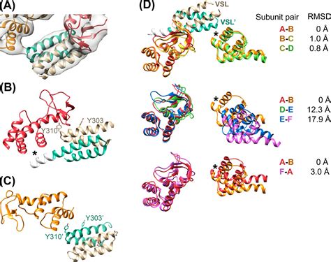 Figures And Data In Structural Basis Of Protein Translocation By The