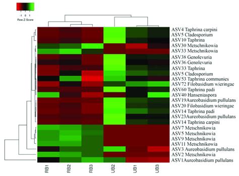 Heatmap Of Fungal Microorganisms Unique Amplicon Sequence Variants