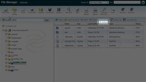 how to upload and download files with file manager liquid web