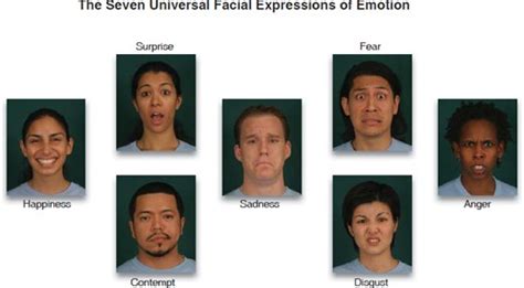 The Seven Universal Facial Expressions Of Emotion — Leb
