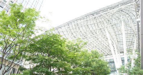 utokyo focus the university of tokyo