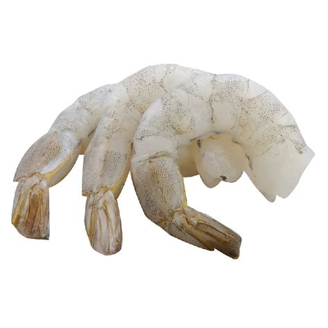 Frozen Prawn Pdto 31 40 At Best Price Delhi From Chaudhary Sons Foods