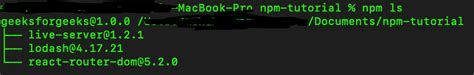 15 npm commands that every node js developer should know geeksforgeeks