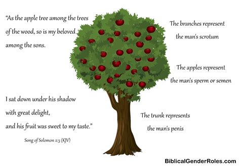 Cunnilingus Biblical Gender Roles