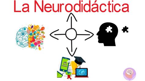 3 Neurodidáctica O Cómo Tener La Atención De Los Alumnos