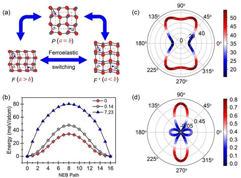 A Schematic Plot Of Ferroelastic Switching Path Between Two
