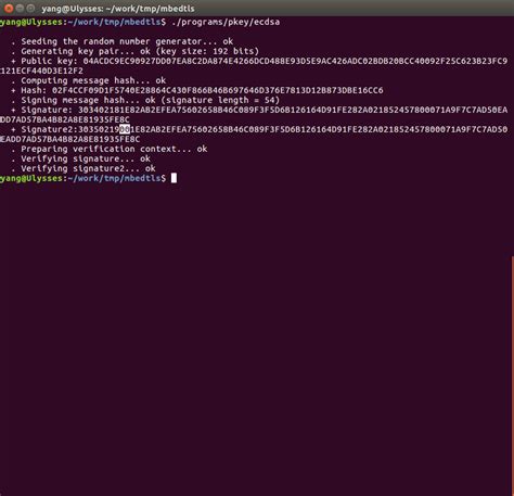 asn1 encoding and mbedtls asn1 get mpi issue · issue 2099 · mbed tls