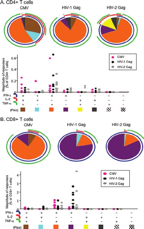 Cytokine Profile Of Cd4 ϩ A And Cd8 ϩ B T Cell Responses