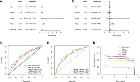 Frontiers A Novel Cuproptosis Related Lncrna Signature Predicts The