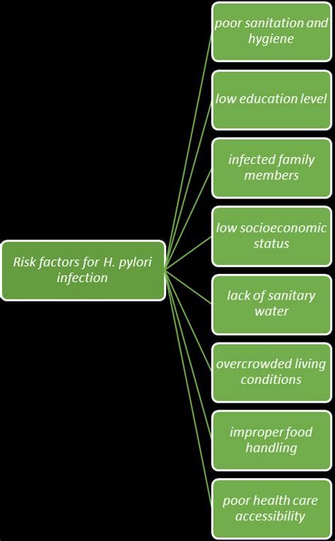 Main Potential Risk Factors For H Pylori Infection Download