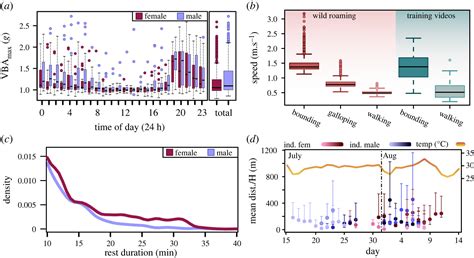 Resting Disparity In Quoll Semelparity Examining The Sex Linked