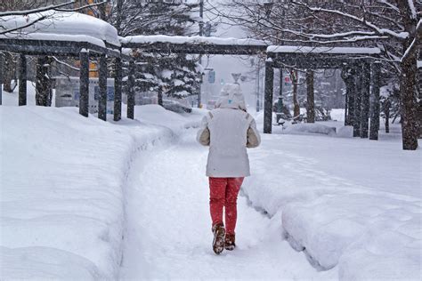 무료 이미지 경치 나무 자연 보행 감기 화이트 아침 전망 여행 풍경화 평화로운 공원 날씨 아시아